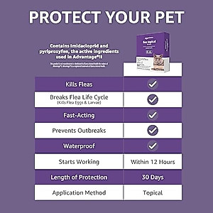 Amazon Basics Flea Topical for Large Cats (over 9 pounds), 4 Count (Previously Solimo)