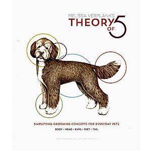 Theory Of 5 2019