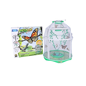 Uncle Milton Butterfly Farm Live Habitat - Observe Caterpillars Transform Into Butterflies, STEM Toy, Great Gifts for Boys & Girls Ages 6+