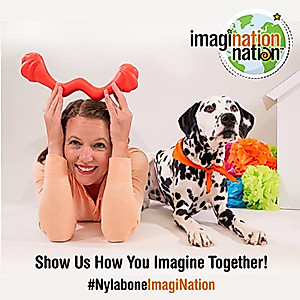 Nylabone Rexii Interactive Dog Toy for Small Dogs – Lightweight Flexible Dog Toy for Creative Play & Dog Exercise