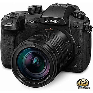 Panasonic LUMIX GH5 4K Mirrorless Camera with Lecia VARIO-Elmarit 12-60mm F2.8-4.0 Lens (DC-GH5LK)