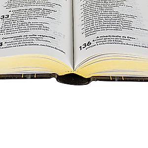 Bíblia Sagrada Almeida Revista e Atualizada: Almeida Revista e Atualizada (ARA)