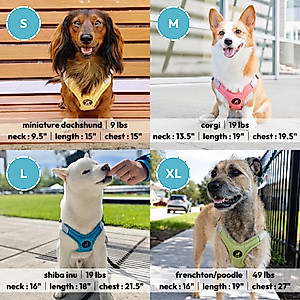 Gooby Memory Foam Step in Harness - Green, Small - No Pull Small Dog Harness Patented Choke-Free X Frame - Perfect on The Go Dog Harness for Medium Dogs No Pull or Small Dogs