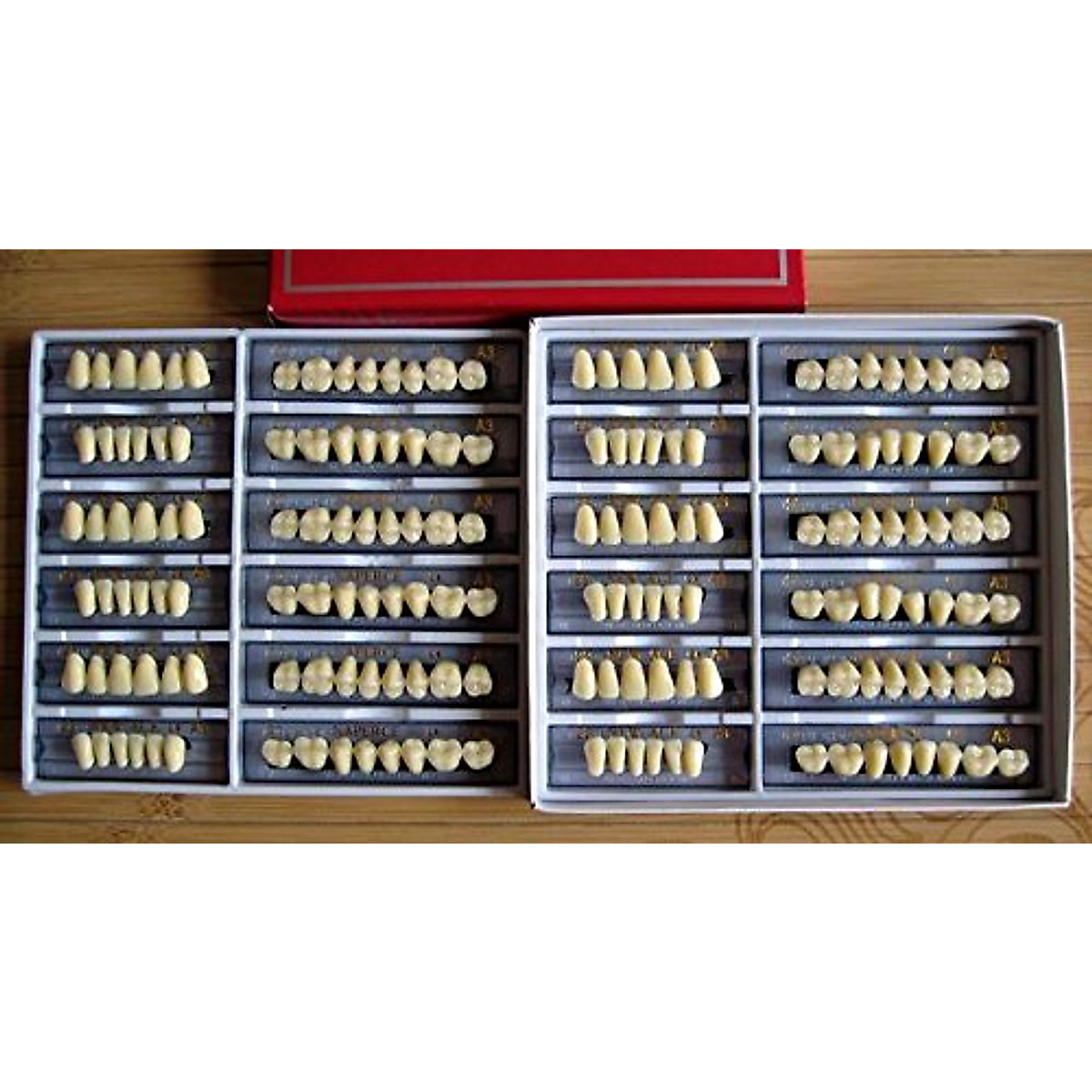 24 Plate 28X1 A1 Denture Shanghai ACRYLIC RESIN Teeth Dental Size 22