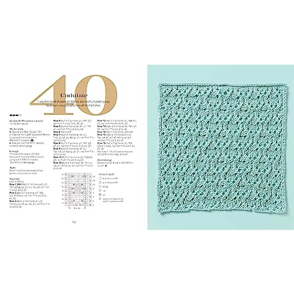 60 Quick Knit Blanket Squares: Mix & Match for Custom Designs using 220 Superwash® Merino from Cascade Yarns® (60 Quick Knits Collection)