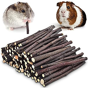 ERKOON 300g or 500g Natural Apple Sticks Small Animals Molar Chew Toys Apple Branch Chew Treats for Hamster Rabbit Chinchilla Bunny Guinea Pig Squirrel 