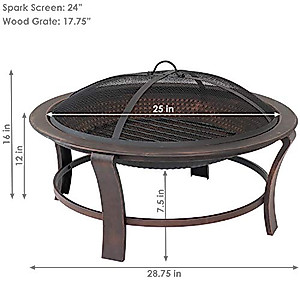 Sunnydaze 29-Inch Elevated Wood-Burning Fire Pit Bowl with Stand - Includes Spark Screen, Wood Grate, and Poker