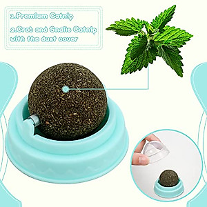 Catnip Wall Toys, 4 Pack Cat Toys, Rotatable Silvervine Catnip Lickable Balls, Safe Healthy Kitten Chew Toys, Teeth Cleaning Cat Bite Toy, Cat Wall Treats