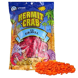 Reptile and Hermit Crab Supplies, Food Pouch, Habitat, Neon Gravel, Mister Trainer, and Seashell Palm Tree Accessory, All in one Starter Pack, 5 Items