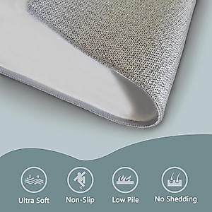 Vegetable Rug & Home Decor - 4x5 Rug, Kitchen Rugs for Living Room Bedroom, Food Carpet, Washable Non Slip Soft Low Pile Indoor Area Rug & Room Decor