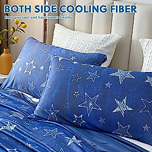 Vamcheer Cooling Pillowcase Queen Size - Double Side Q-Max 0.45 Chill Pillow Covers for Hot Sleeper, 2 Pack Breathable Cold Pillow Case with Hidden Zipper, Anti-Static, Skin-Friendly (20"x30", Blue)