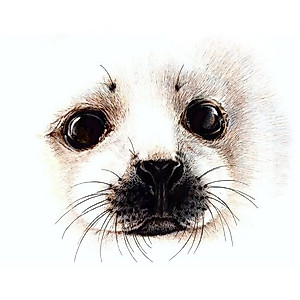 CafePress Baby Seal Mug Ceramic Coffee Mug, Tea Cup 11 oz