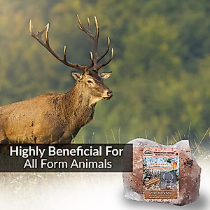 Himalayan Nature Animal Licking Pink Salt Rock Lick Deer| 5 Pound