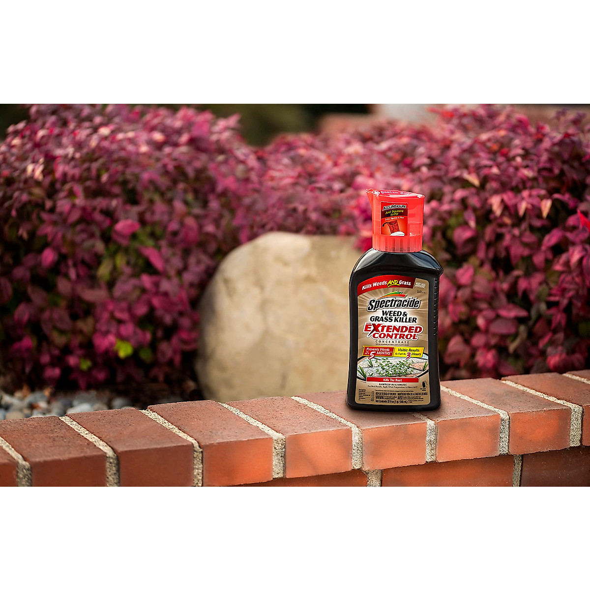 Spectracide Weed and Grass Killer with Extended Control Concentrate, 32 Ounces, with Accumeasure System