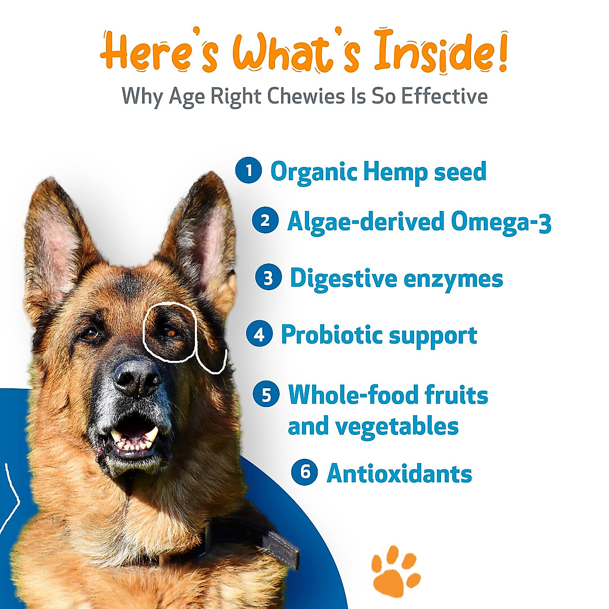 Pet Wellbeing Age Right Chewies for Dogs in Their Prime & Senior Years - Vet-Formulated - Daily Multifunctional Support for Joint Mobility, Immune, Heart Health, Shiny Coat, Energy - 90 Soft Chews