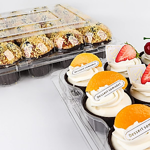 3unshine 24 Count Cupcake Containers, Set of 12 Plastic Cupcake Boxes Bulk, 24 Compartment Cupcake Holder with Detachable Lid,Disposable Muffin Carrier