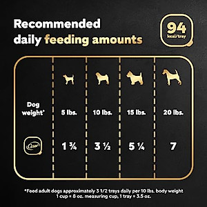 CESAR Adult Soft Wet Dog Food Filets in Gravy, Filet Mignon Flavor, 3.5 oz. Tray
