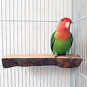 Natural Wooden Bird Perch Stand, Multi-Branch Hanging Perch Platform for Parrots, Cockatiels, Conures, Macaws, 7-8cm 15cm