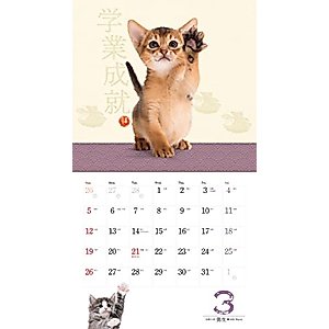 カレンダー2023 開運まねき猫 (月めくり/壁掛け) (ヤマケイカレンダー2023)