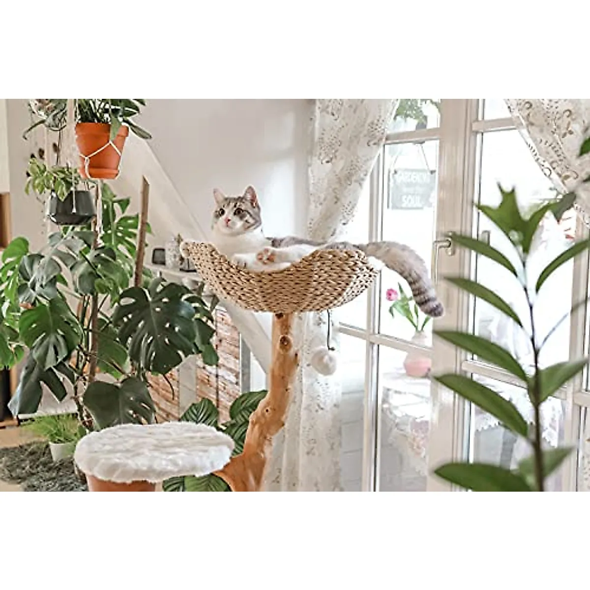 Wooden Cat Tree Tower, Modern Single Branch Cat Condo, Wood Cat Tree, Cat Climbing, Furniture for Cat, Cat Lover Gift, Cat Furniture,Cat Gift by MAU LIFESTYLE (Alpine White)