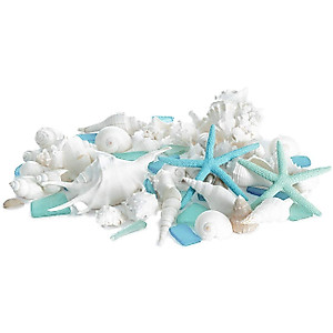Real Mixed Beach Seashells with Blue & Green Starfish & Aqua and Blue Sea Glass | White Decorative Sea Shell Décor & Blue Seaglass Pieces | Seashell Wedding | Plus Free Nautical eBook by Joseph Rains