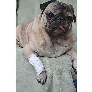 PawFlex Joint and Large Area Wound Bandages for Dogs Cats & Other Pets. Great for Leg Joint sprains and Tail Injuries! Non Adhesive Breathable Non-Slip Disposable Washable Value Pack (L/XL 12pk)