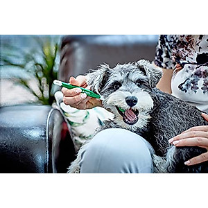 Vets Best Triple Headed Toothbrush for Dogs - Teeth Cleaning and Fresh Breath