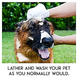 Scrubby Pet No Rinse Pet Wipes, Rinse Free Shampoo Mittens for Dogs and Cats, Bath Wipes for Bathing and Washing Pets, Hypoallergenic No Rinse Wash Mitt for Grooming, Lather Wipe Dry