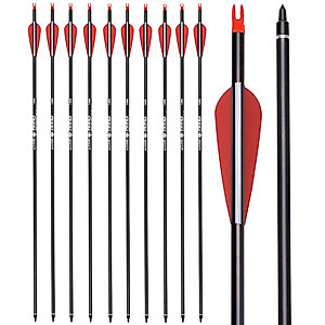Archery Carbon Arrow Hunting Target Practice Arrows 30 Inch with Removable Tips for Compound & Recurve Bow 500 Spine 12PCS