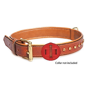 Calm Paws Calming Disk Medallion Dog