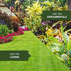 Bayer Advanced 706220B Rose & Flower Insect, Disease & Mite Control, Fungicide, 24 oz, Ready-to-Use