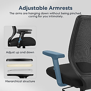 Schwake Ergonomic Office Chair Home Mesh Desk Chair with Adjustable Arms - Mid Back Computer Chairs for Adults - Swivel Task Chair Comfortable for Home Office (Black)