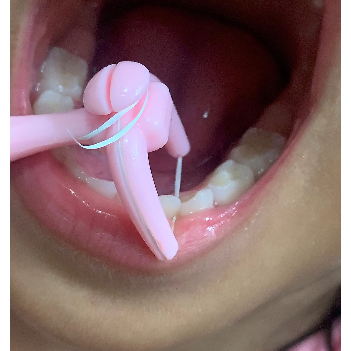 YaPoola Design NO-Waste Dental Floss Handle for Adults and Kids Teeth Cleaning Reusable Dental Picks 2 Counts Daughter Gift from Mother