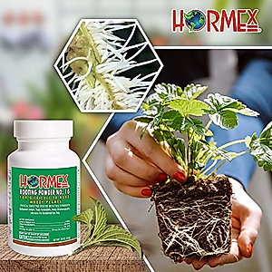 Hormex Rooting Powder #16 - for Difficult to Root Woody Plants - 1.6 IBA Rooting Hormone for Plant Cuttings - Fast & Effective - Free of Alcohol, Dye, Gel & Preservatives for Healthier Roots, 21g