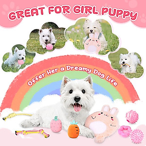 XIUGOAL Pink Puppy Toys - 9 Pack Puppy Chew Toys for Teething, Interactive Dog Toys for Puppies, Small Dog Toys with Squeaky Toys, Treat Ball and Ropes