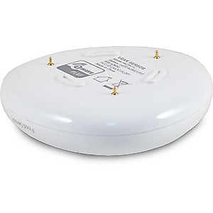 HomeSeer HS-LS100+ Z-Wave Plus Leak Sensor