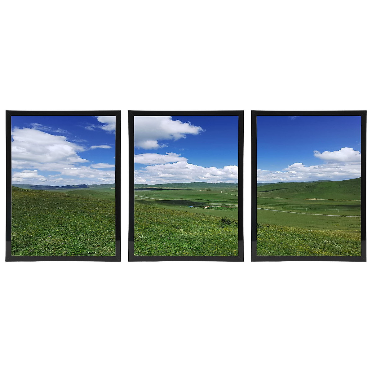 Medog 12x16 Picture Frame Black Display Pictures 12" x 16" Set Of 1 12x16 Black Picture Poster Frame Safety high transparent PC sheet Wall Mounting pin-hook not included (P1ZB 12x16 BA 1P)