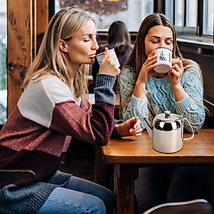 Tea Pot, Stainless Steel Teapot, 20oz Metal Tea Kettle Short Spout Tea Pot for Stovetop Home Kitchen Hotel Restaurant Camping