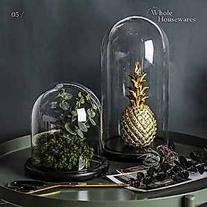 WHOLE HOUSEWARES | Decorative Clear Glass Dome | Cloche Glass Dome for DIY Snow Globes | Tabletop Centerpiece | Cloche Bell Jar Display Case | Black MDF Base, 5.7" D X 6.5" H