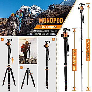 VICTIV 80" Camera Tripod, DSLR Tripod for Travel, Aluminum Heavy Duty Tripod Stand with 360° Ball Head, Camera Tripods & Monopods with Carry Bag, Professional Tripod for Canon Nikon -AT40 Orange