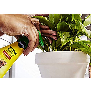 Miracle-Gro 100055 Indoor Plant Food, (3)