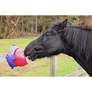 Manna Pro 1000043 081765 Likit Tongue Twister, Red, Large (Pack of 1)