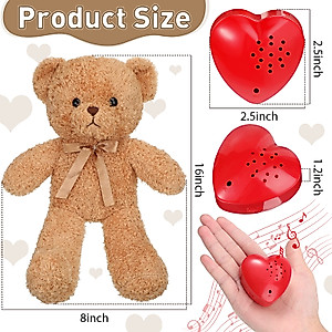 Hungdao Bear Stuffed Animal with Voice Recorder Set, 60 Seconds Voice Sound Recorder Module 16 Inch Soft Plush Bear Cute Stuffed Bear with Zipper Sound Box Recordable Heart for Boy Girl (Light Brown)