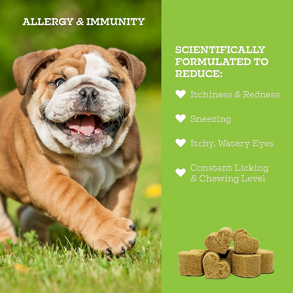 Moe’s Allergy and Immune Support for Dogs-Supports Anti-Itch, Seasonal Allergies & Immunity-Omega 3 Wild Alaskan Salmon Fish Oil - Dog Allergy Treatment, Skin Health- Made in USA- 90 Chews (Chicken)