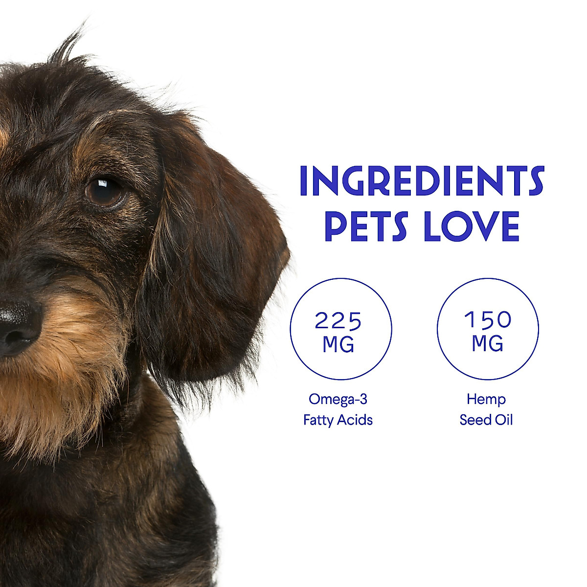 WONDER PAWS Organic Hemp Oil for Dogs – 9,000 mg of Hemp Oil with Alaskan Salmon Oil & Omega 3 Fatty Acids - Hemp for Pets, Joint Health, Anxiety Relief, Calming, Skin & Immune – 60 ml Hemp Oil Drops