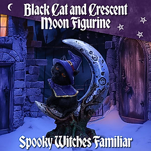 Nemesis Now Sooky Witches Cat Familiar Figurine in Purple Crescent Moon, Hand-Painted Resin Gothic Decor, Gift for Witches, 11.5cm