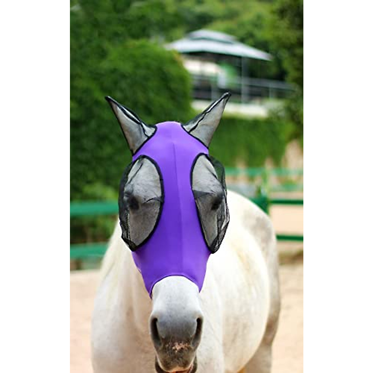 Horse Fly mask, Comfort Horse Fly Masks for Horse,Elasticity Fly Mask with Ears,We Focus On Quality