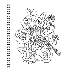 Large Print Easy Color & Frame - Birds (Stress Free Coloring Book)