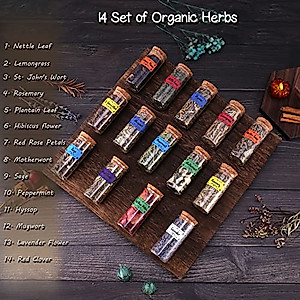 Cikuco Witchcraft Supplies Kit for Witch Spells,61PCS Witch Stuff,Wiccan Supplies and Tools,Including Herbs for Witchcraft,Crystals and Healing Stones,Spell Candles,Wiccan Starter Kit