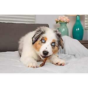 Natural Cravings Steer Stix Bully Sticks Dog Chews | 20-22 Sticks, 12 oz. Bag | Product of USA - Odor Free